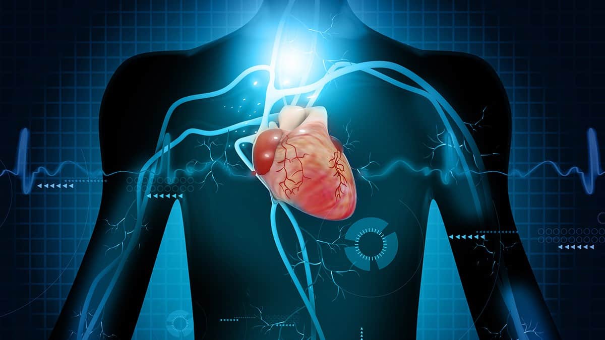 Ceryx Medical: company uses bioelectronics to coordinate the heart and ...
