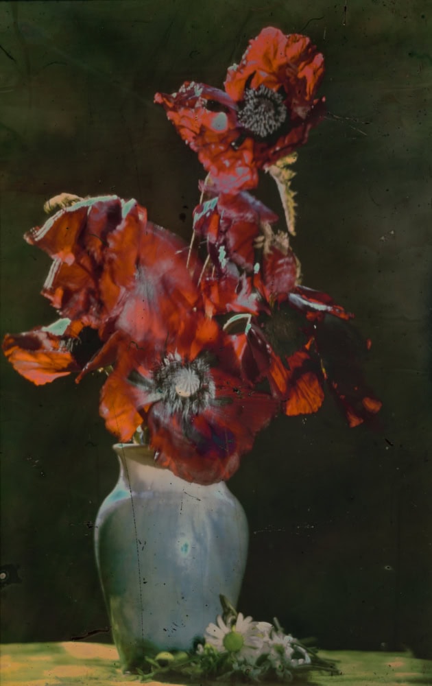 Nobel prizes you’ve never heard of: how an obscure version of colour ...